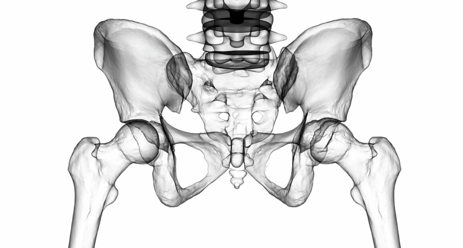 Paediatric Hip System: An Overview - HEMC Ortho