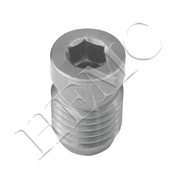 END CAP FOR EXPERT TIBIA NAIL - HEMC Ortho